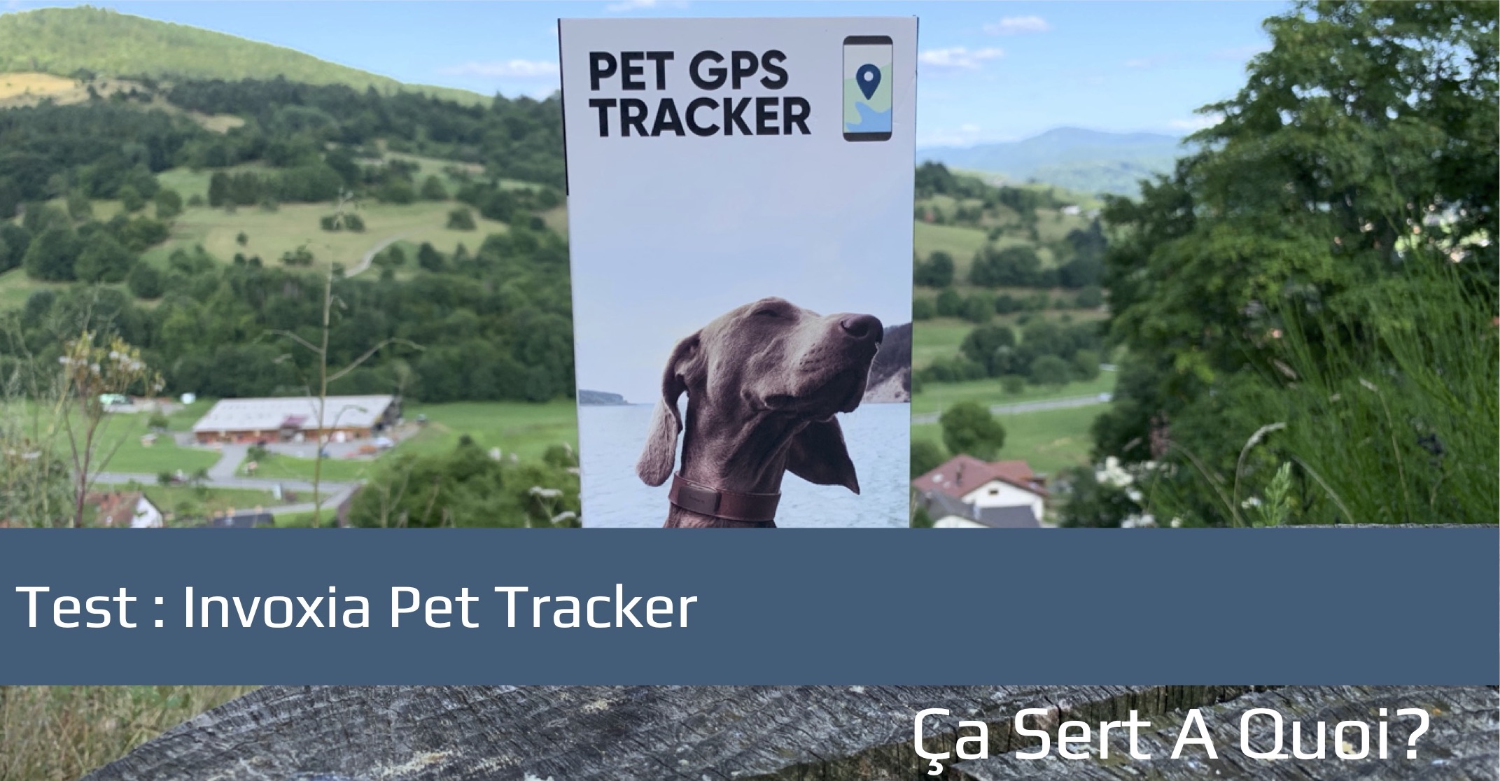 Test : Invoxia Pet Tracker | Ça Sert A Quoi?